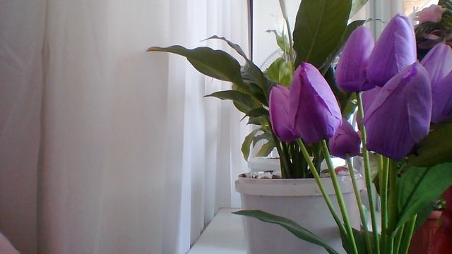 WIN_20260404_14_09_31_Pro