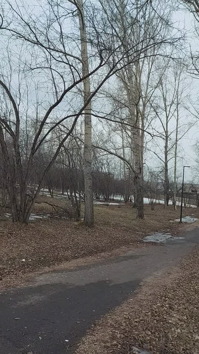 Велосезон 2026 открыт!)