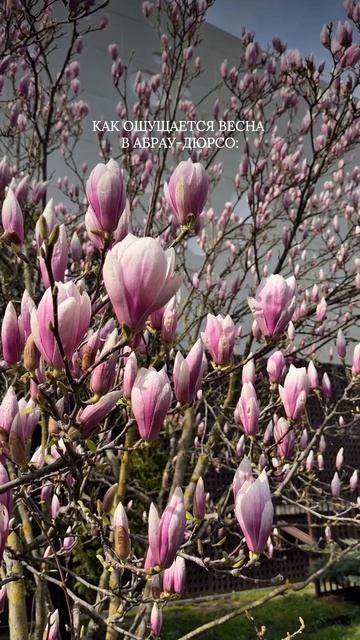 Абрау-Дюрсо, Россия 🇷🇺