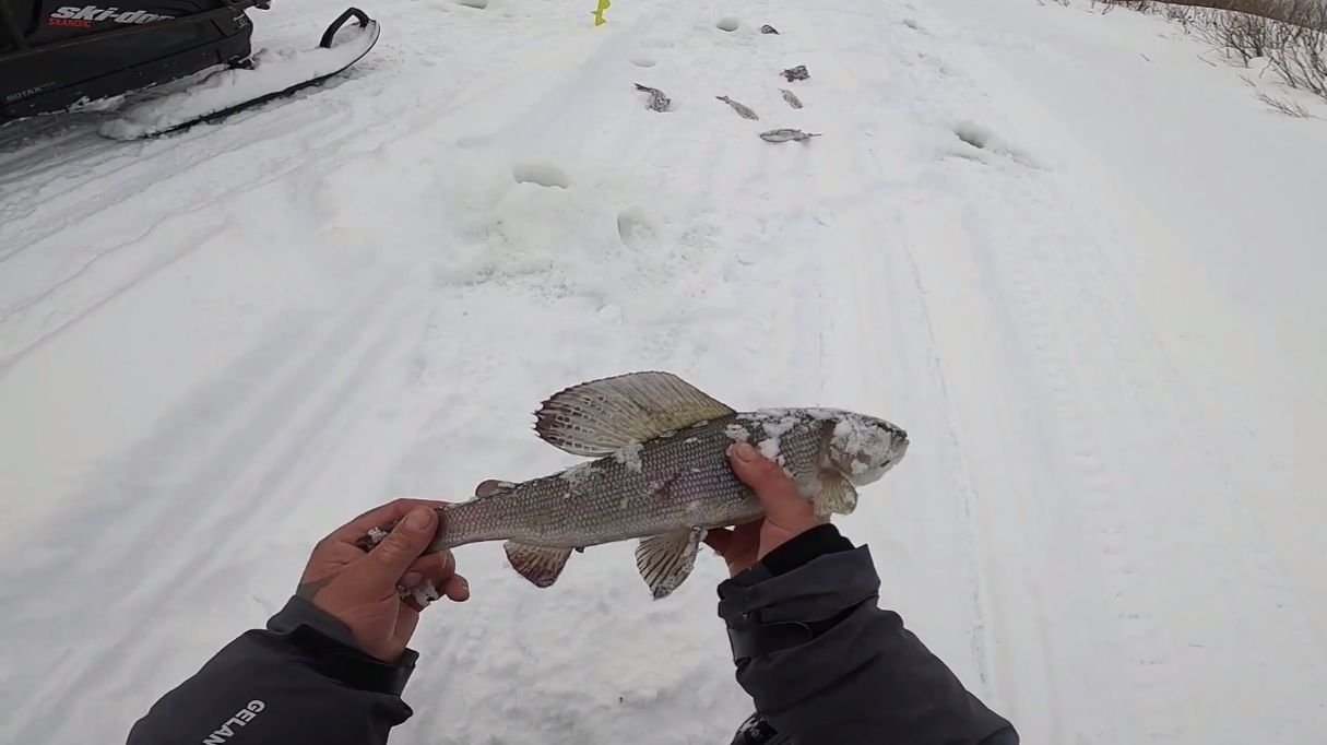 Рыбалка на реке. Трофей ещё трофей... Спасибо Эвенкия! Часть 2.