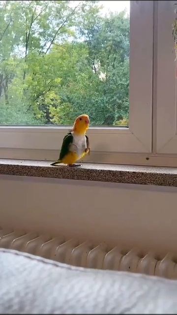 СТАРОСЛУЖАЩИЙ...