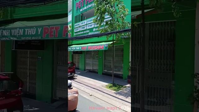 Обзор Нячанга: От буддийских символов до песни Басты 🌱