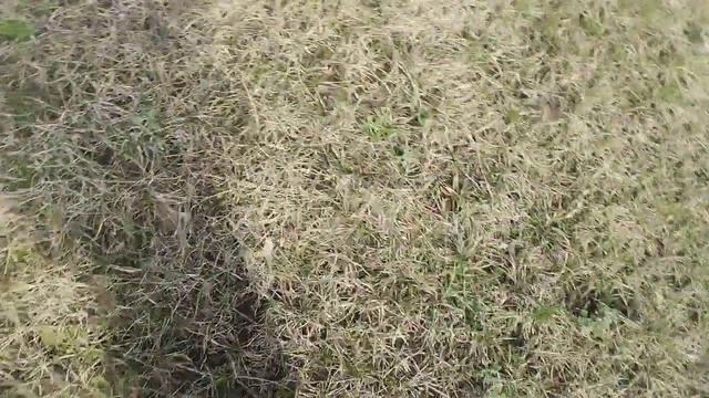 Завели нового котика😔