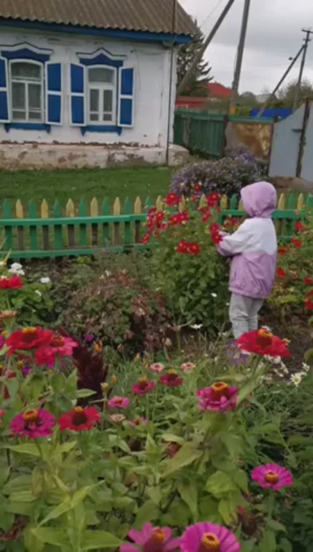 Выходные В ДЕРЕВНЕ 2024