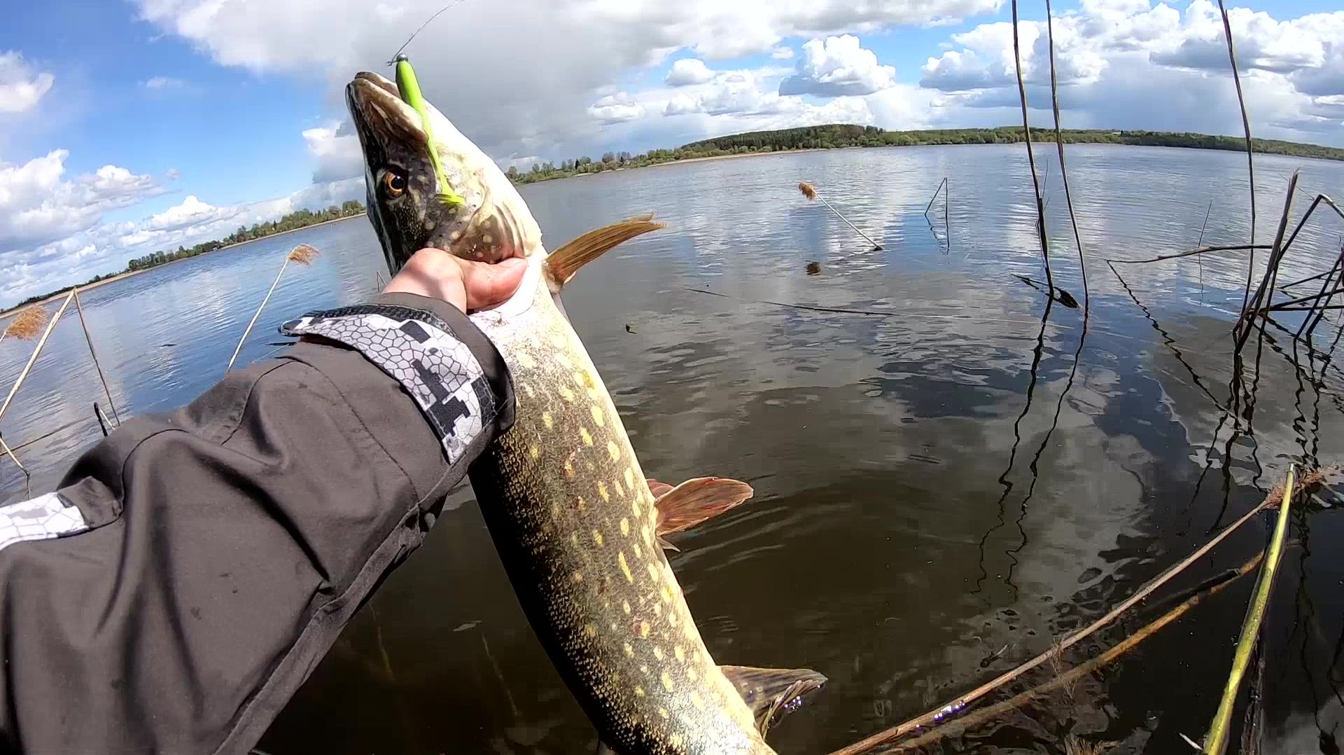Ловля щуки весной . Весенняя рыбалка с берега!