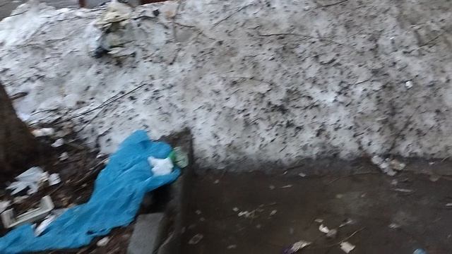 №2049 Двор П. Осипенко 48. 3 апреля 2026 г., 19:50:59 VID_20260403_195015648