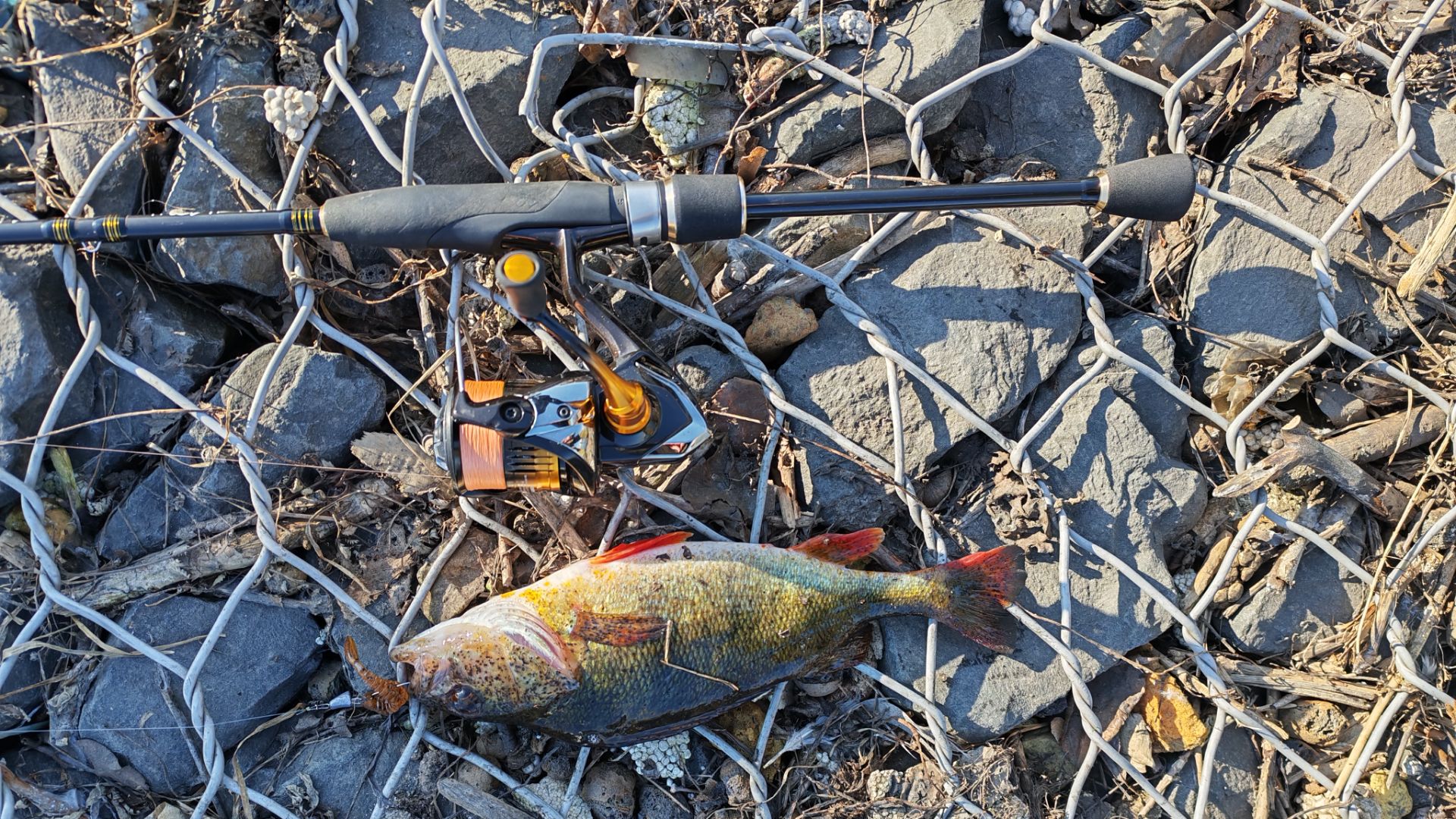 МР, набережная Шагала. Микро-джиг 26 марта 2026 года