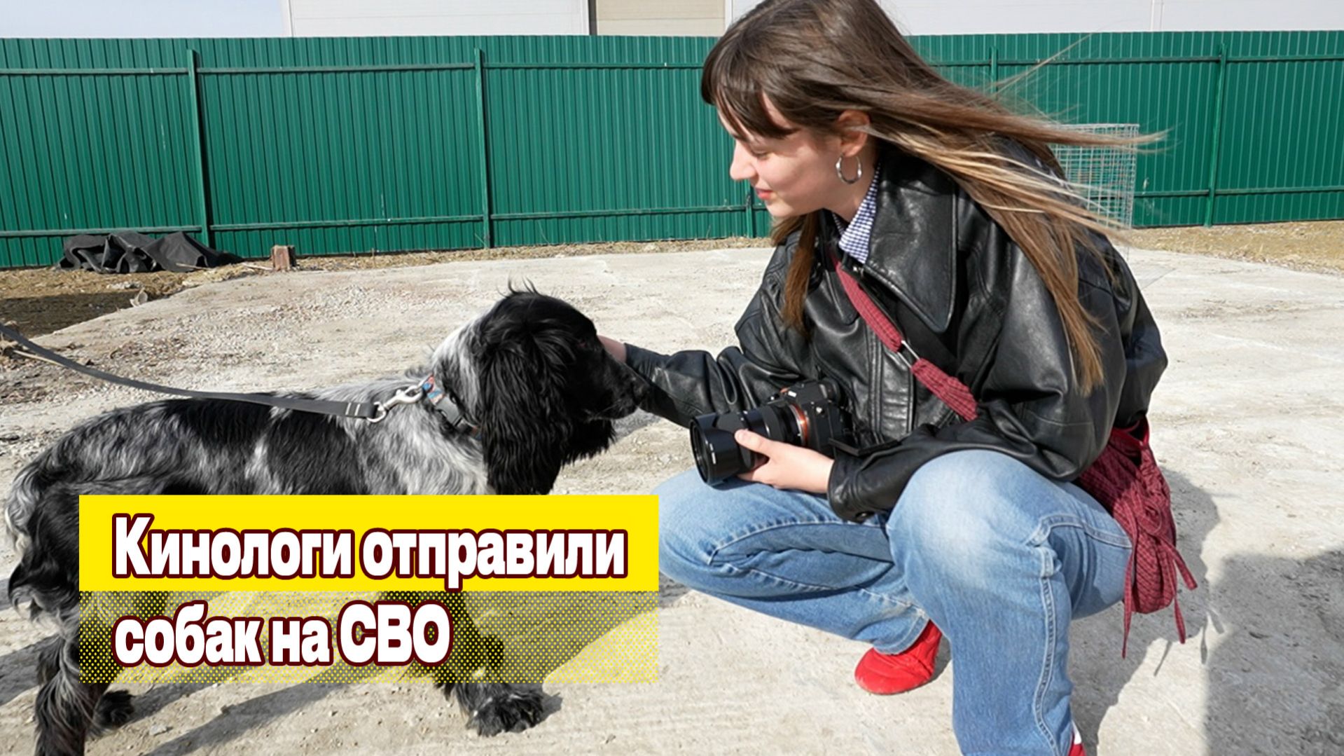 История спаниеля по кличке Бим, отправившегося на СВО