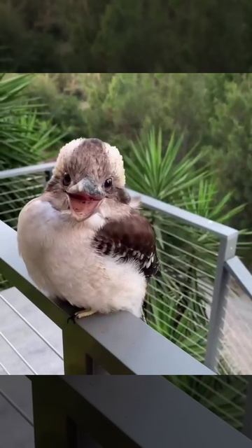 Он очень рад вас видеть