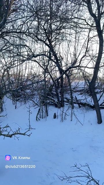 Красивая зима в деревне