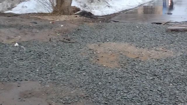 №2047 ул. Полины Осипенко. 3 апреля 2026 г., 19:48:28 VID_20260403_194819025