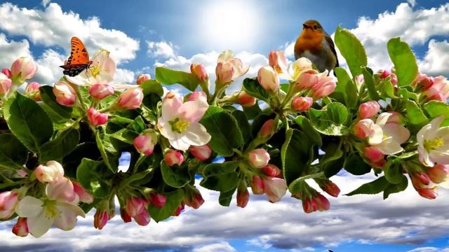 5325-из Гарыныч ВЕТЕР-Собственность Господа!-Вогhджуйн, вогhджуйн, вогhджуйн...