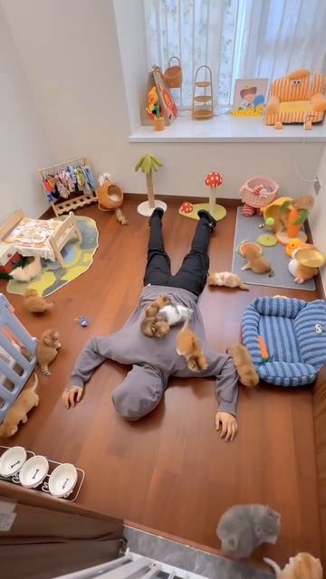 В детском саду ушатали воспитателя