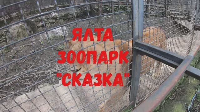 "СКАЗКА" - зоопарк Олега Зубкова в ЯЛТЕ.  Обезьяны и жираф попрятались от холода. 2 - я часть.