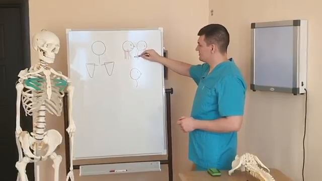 Почему болит голова Что нужно знать перед тем как начать упражнения на шею