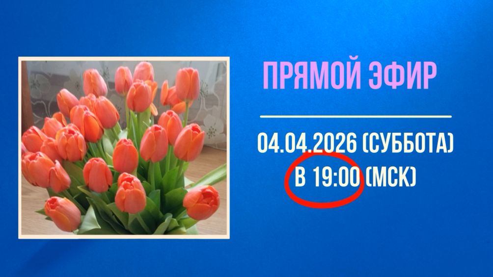 Анонс эфира 04.04.2026