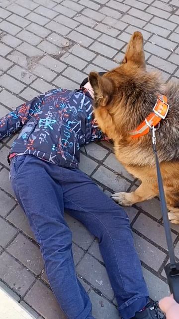 Собака часть вторая . . .