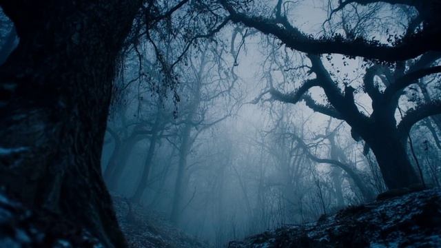 Лесной закон...(от Strelec74).