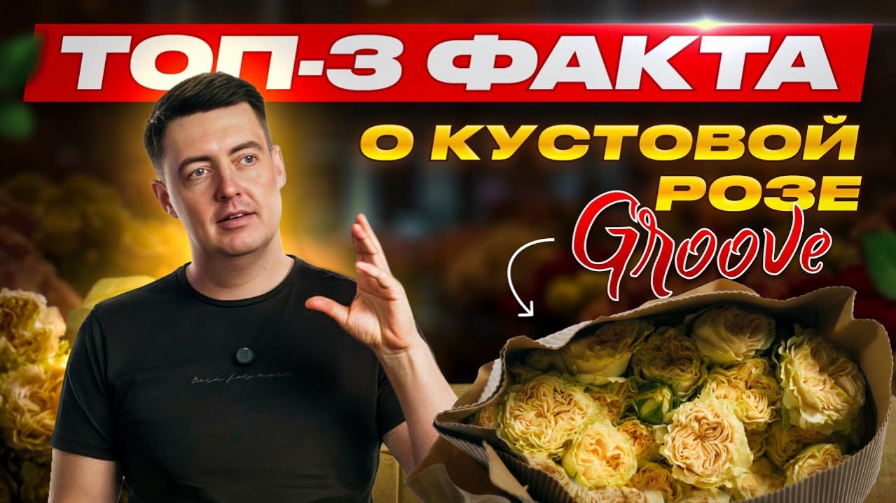 Кустовая роза против российской: кто выиграет? | Плантация Groove | Кения | Цветы оптом