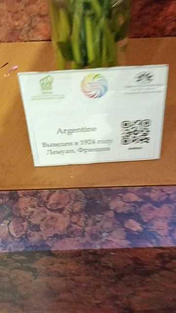 Цветы, сад и огород, откройте перечень услуг от специалистов, см описание, нужно пишите,