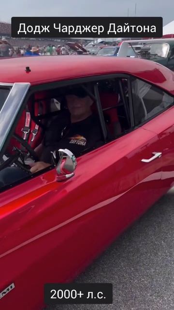 2000+ лошадок