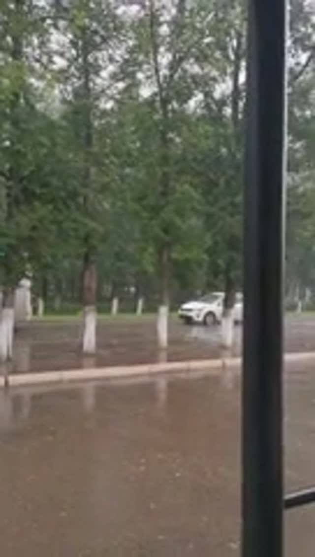 Попали под ливень идем в БИБЛИОТЕКУ 2024