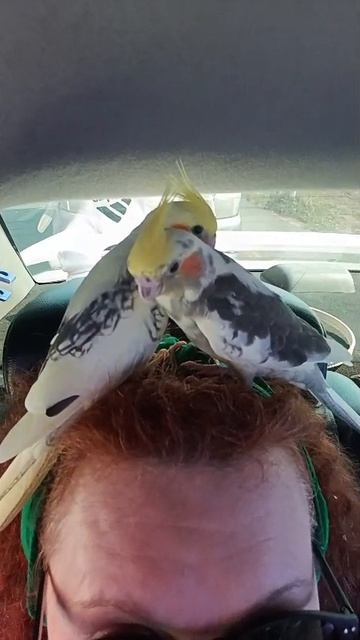 Они выбрали удобное место