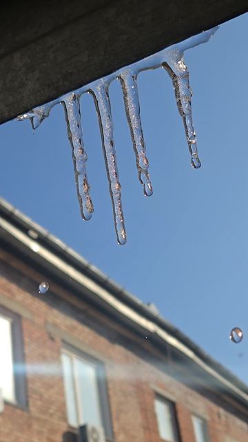 Капель и щебет воробьев