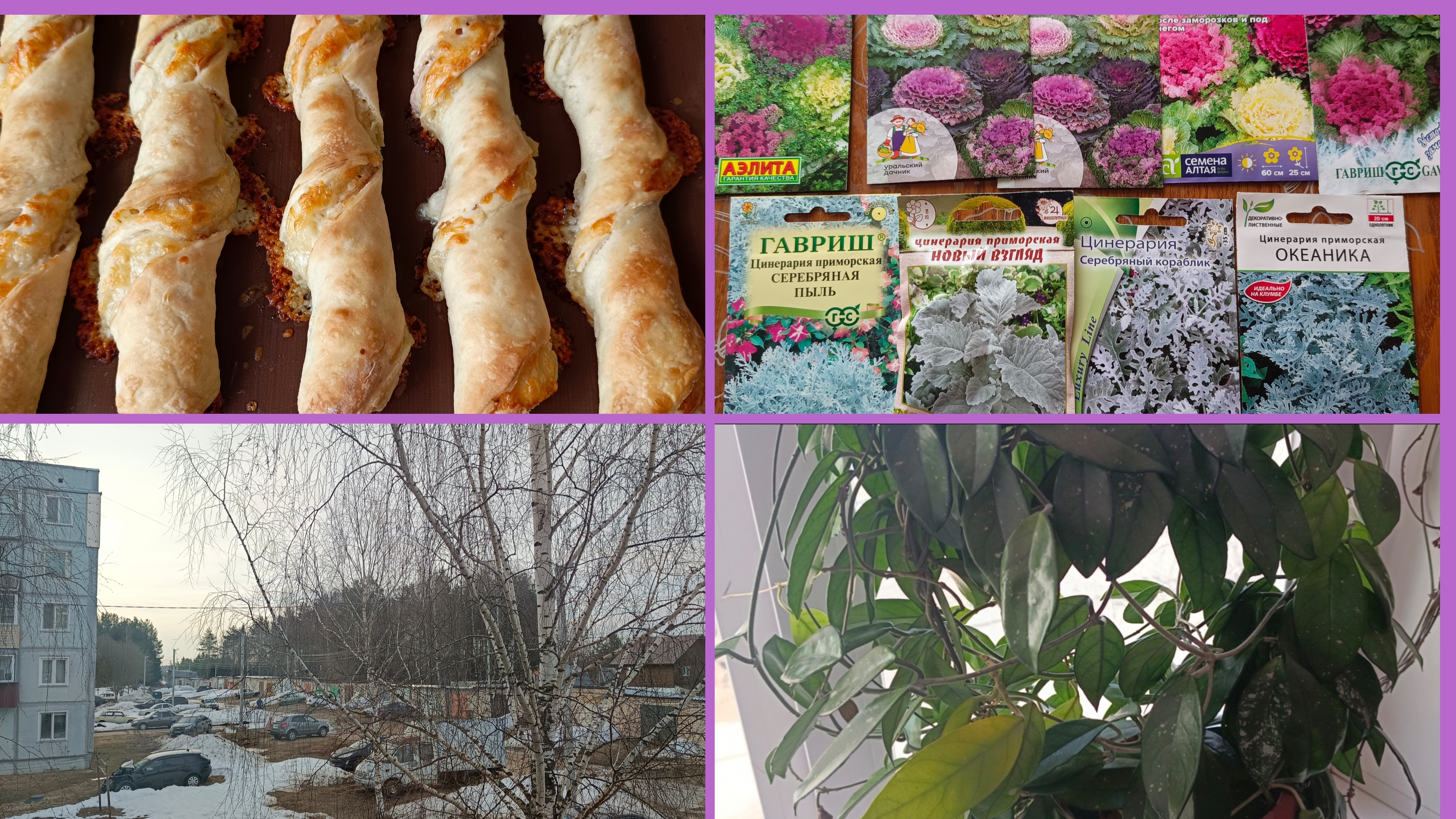 02-04-2026💥Влог💥четверг 💥зацветёт хоя💥видео было удалено рутубом