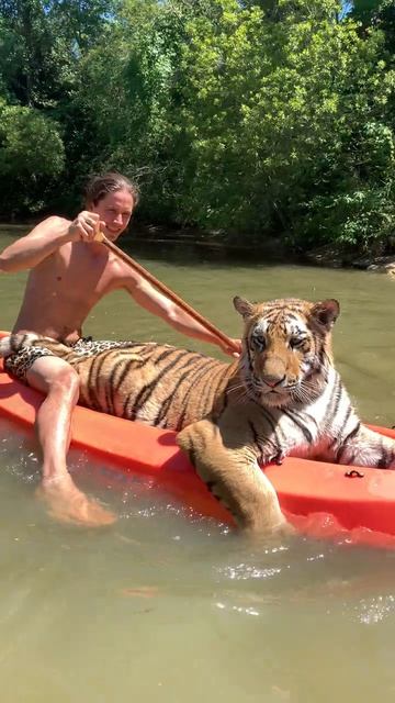 Выгулял барсика