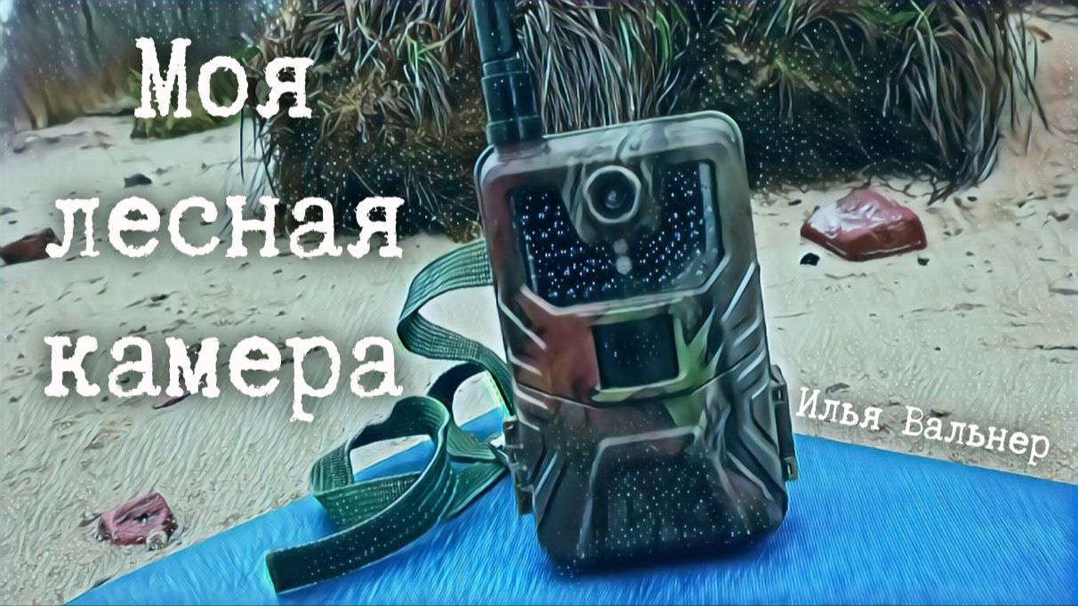 Обзор фотоловушки с сим картой. Филин HC-900 LTE