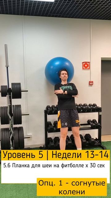 5.6 Планка для шеи на фитболле