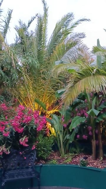 Сад и перечень услуг от специалистов, см описание, нужно пишите,