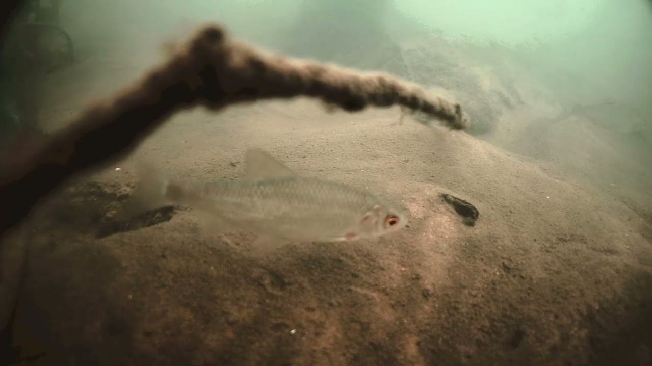 Осень, осень...