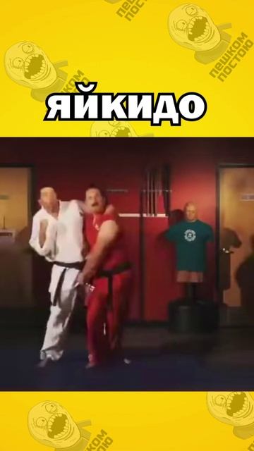 яйкидо - заходи в вк --﹥ https://vk.com/peshkom_postoyu_smile_vk