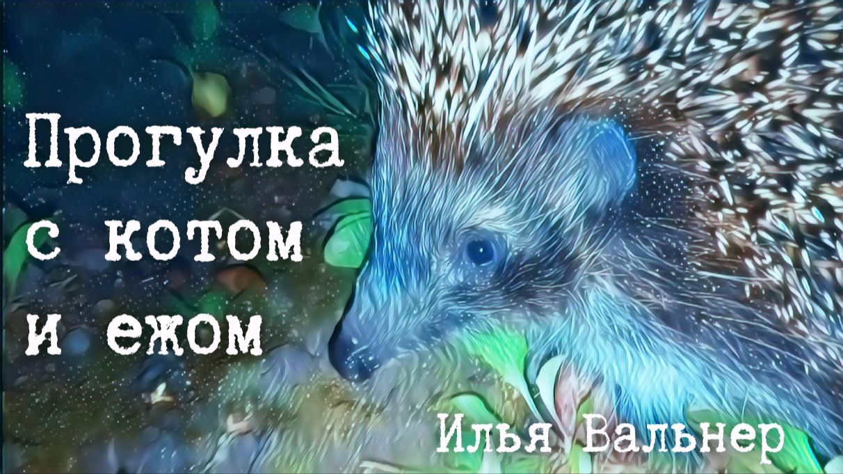 Прогулка с ежиком и кошкой