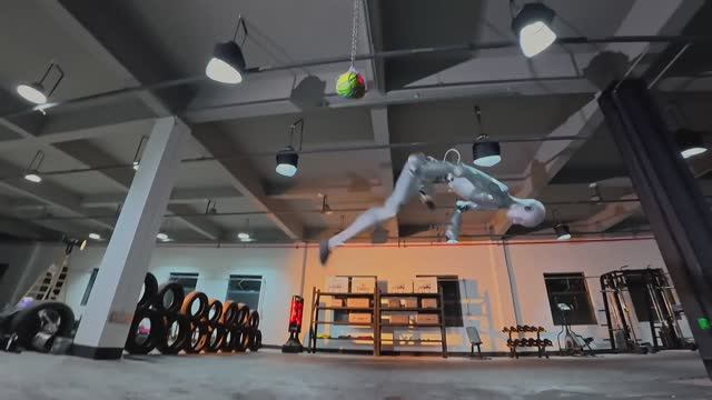 Unitree H2 — ваш личный механический боец! 🤖