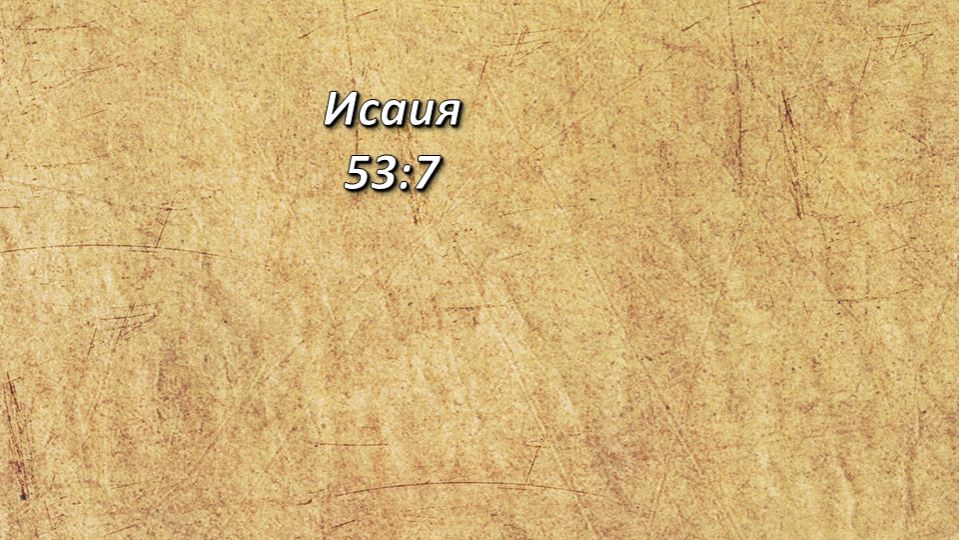 Стих дня. Исаия, 53;7.