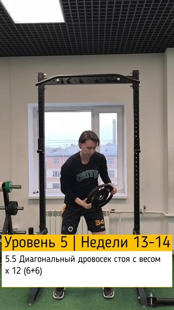 5.5 Диагональный дровосек стоя с весом