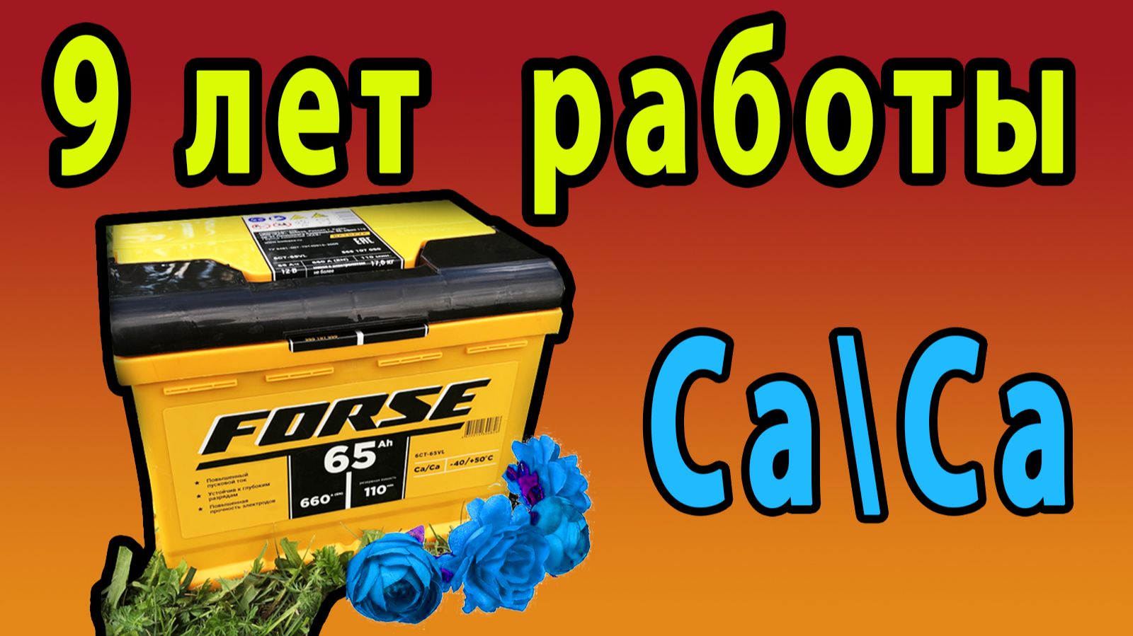 Даигностика девятилетнего кальциевого аккумулятора Финал