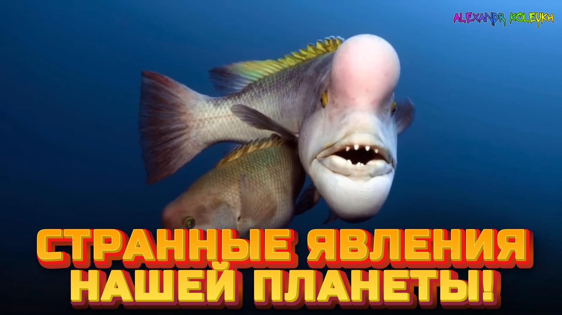 НИКТО не должен был ЭТО видеть! Вещи, которые людям НЕ СУЖДЕНО было увидеть!