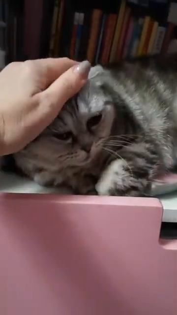 МИЛАШКА Эля