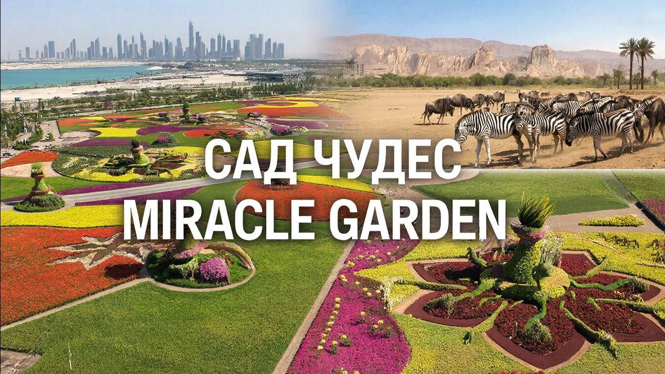 Обзор Miracle Garden и Dubai Safari Park: что посмотреть