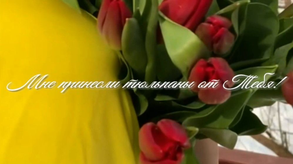 Тюльпаны от Тебя. Стихи - Е.Кузьмина-Феоктистова, монтаж и генерация звука в ИИ - Е.Доставалов