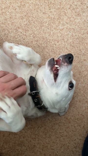 Райское наслаждение