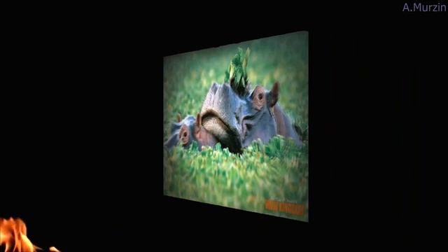 Messiah Project - Back To The Past