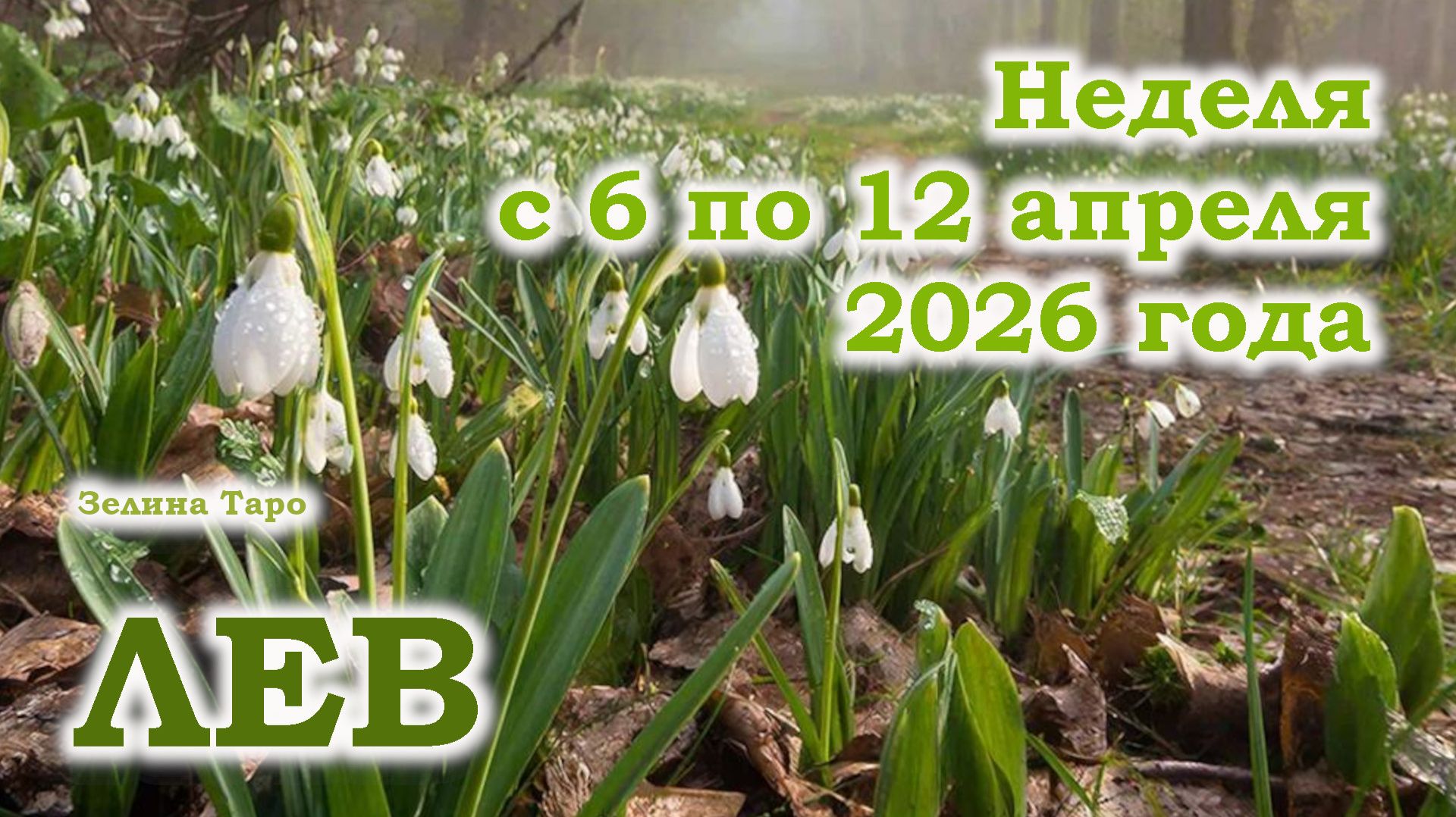 ЛЕВ | ТАРО прогноз на неделю с 6 по 12 апреля 2026 года