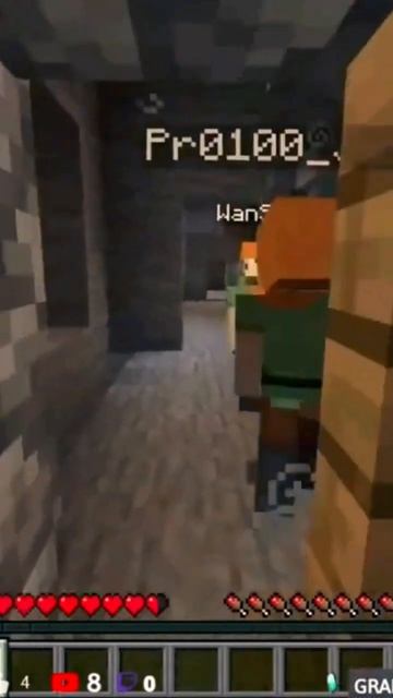 Minecraft Лучшее #1341