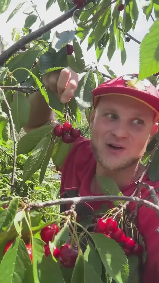 🔥😂 ЧЕРЕШНЯ (смешное видео, юмор, приколы, поржать, прикол, ржака, ржач, мемы 2026)