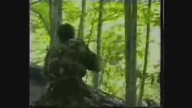 Боль Югославии серб